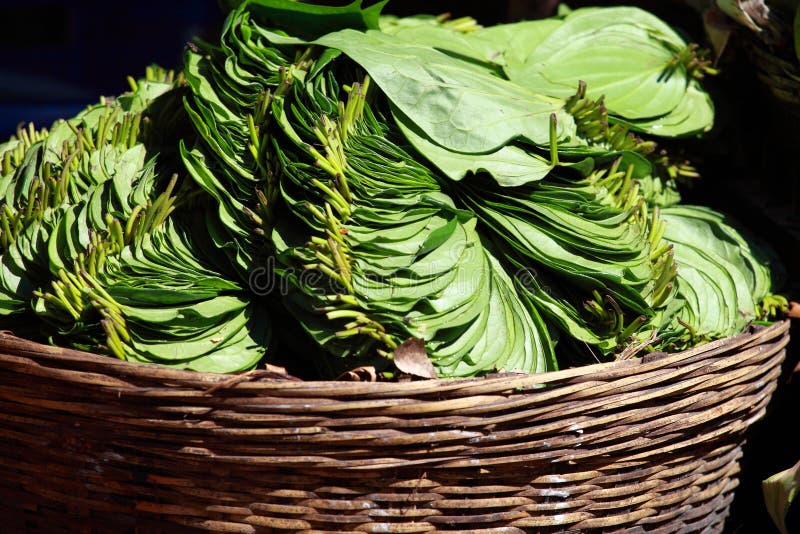 Green Leaves in Local Market in India. Stock Photo - Image of culture ...