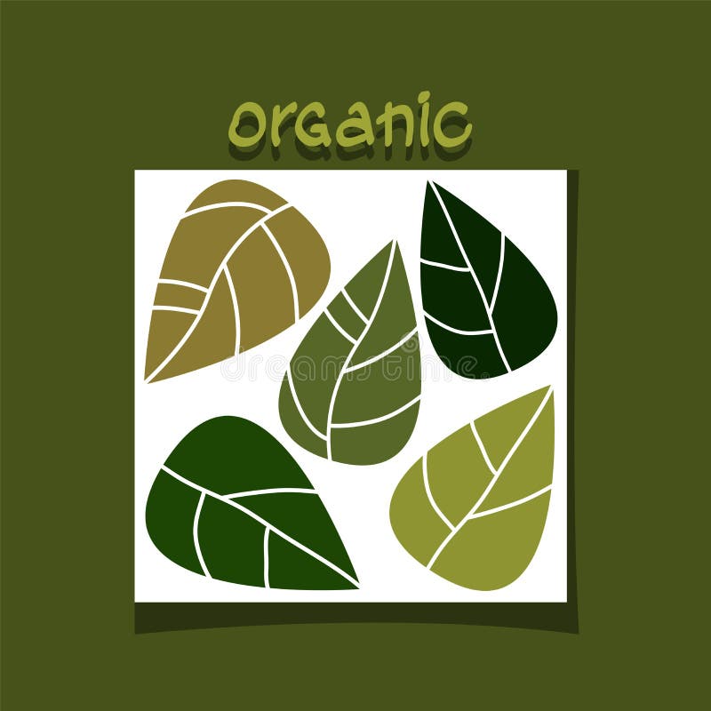 Green Leaves. Organic Concept Stock Vector - Illustration of organic ...