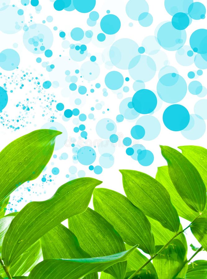 Green Leaves on Oxygen Background Stock Image - Image of flora, breathe ...