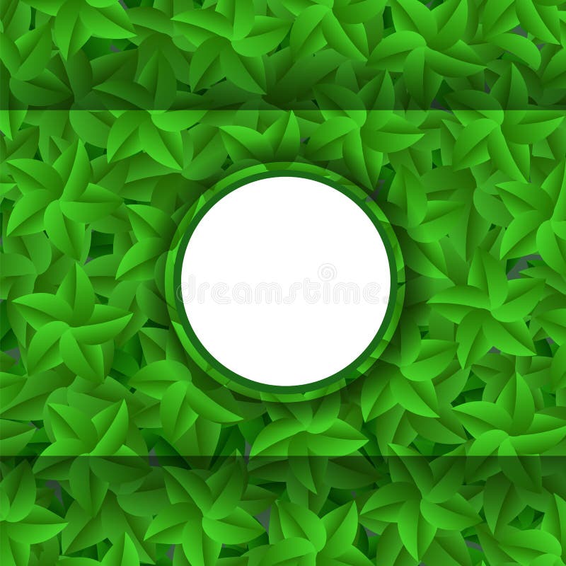 Green Leaves Pattern. Evergreen Hedgegrow Stock Vector - Illustration ...