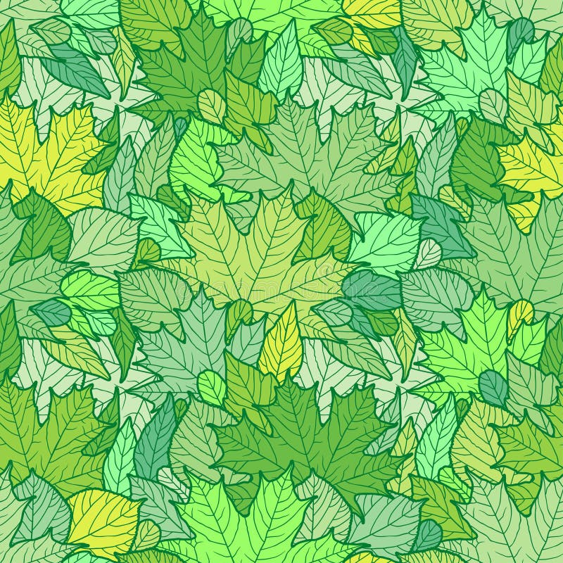 Green leaves pattern stock vector. Illustration of contour - 96975124