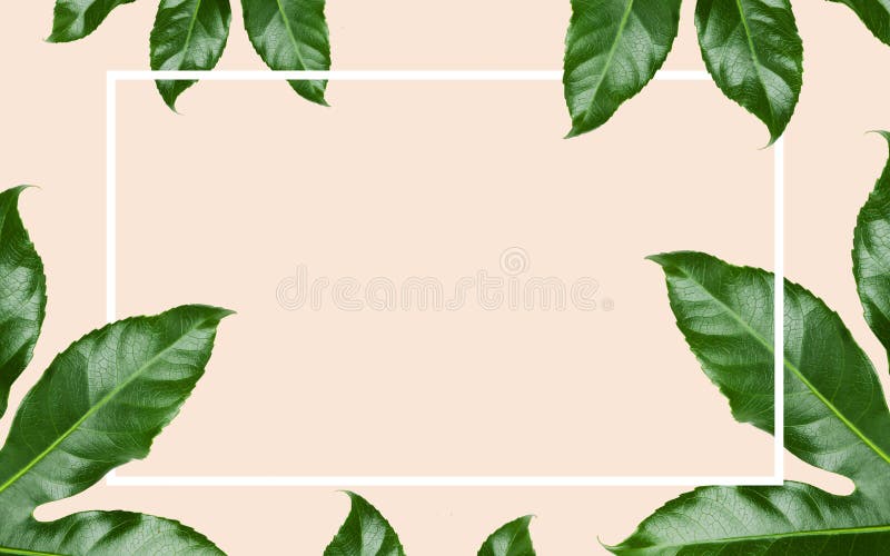 Green Leaves with Rectangular Frame Over Beige Stock Image - Image of ...
