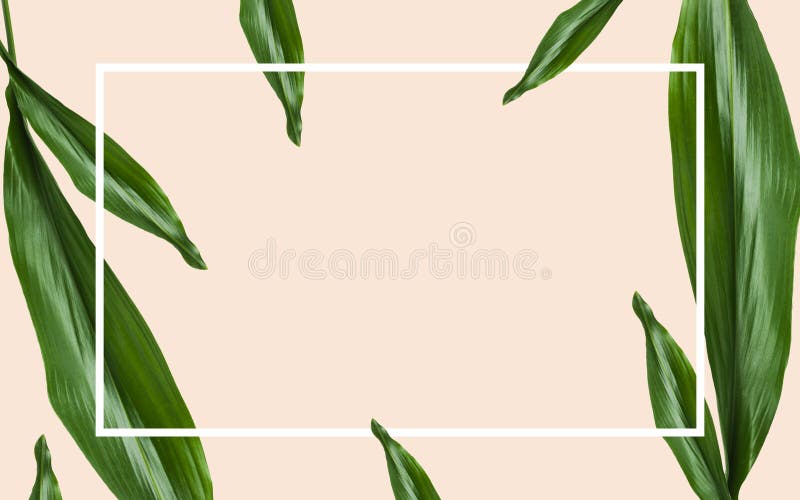 Nature Rectangular Stock Illustrations – 8,957 Nature Rectangular Stock ...