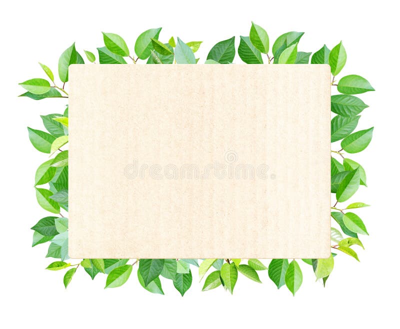 Green Leaves and Rectangular Recycled Paper Label. Isolated on White ...