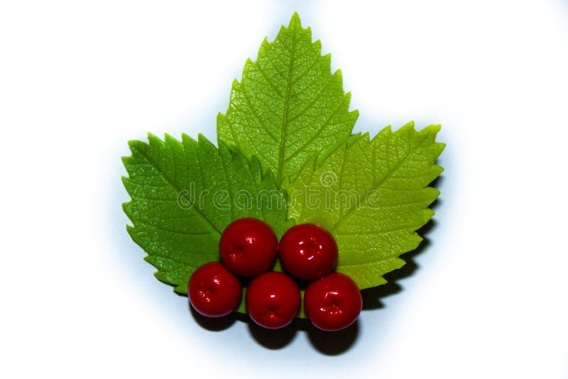 Green Leaves with Red Berries Stock Image - Image of sweet, vitamin ...