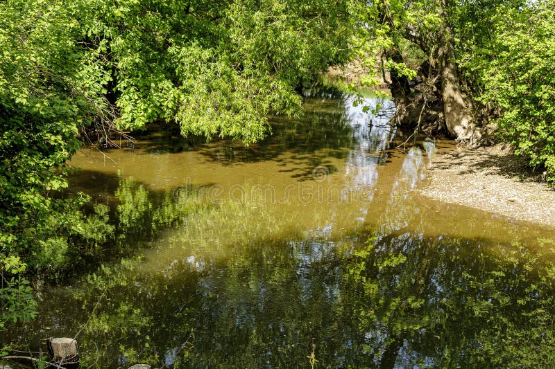 Jp84408 Intimacy Of A Tree Lined Creek Water From The Creek Flows Under The Foliage Of The
