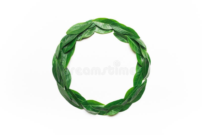 Green Leaves in a Round Frame on a White Background. Minimalistic, Eco ...