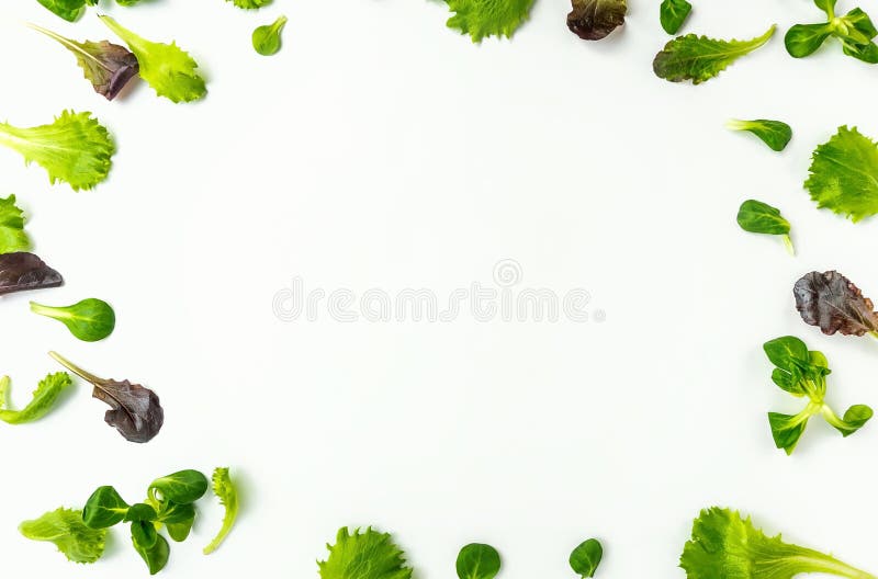 Salad border stock photo. Image of greens, salad, frame - 13693322