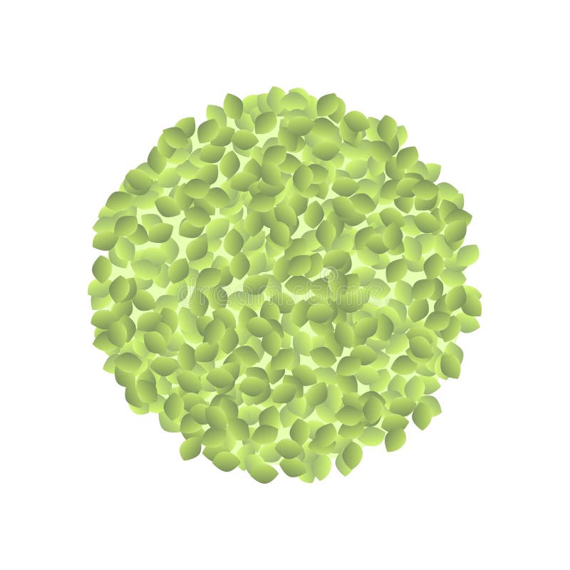 Green Leaves in a Shape of a Ball Ornament. Eco Vegan Isolated Vector ...