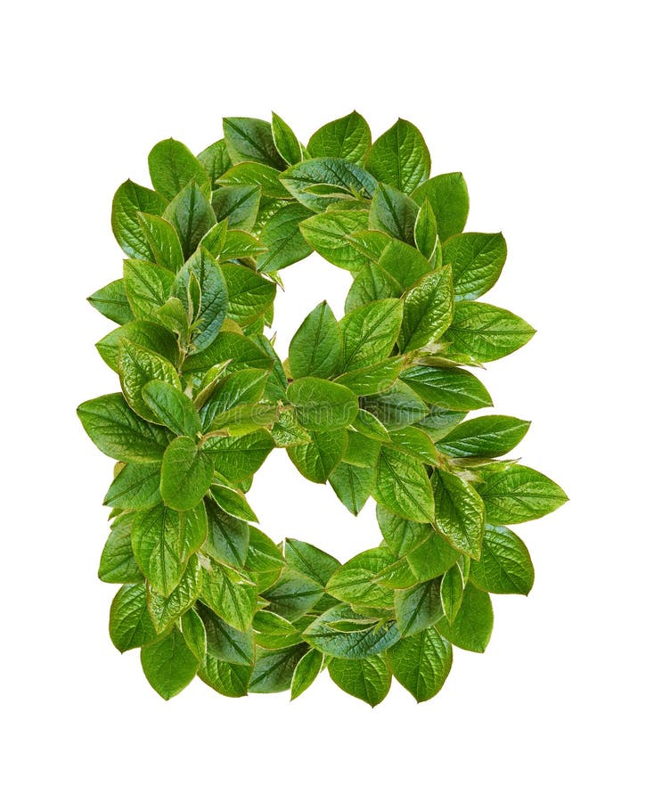 Green Leaves in a Shape of Letter B Isolated Stock Photo - Image of ...