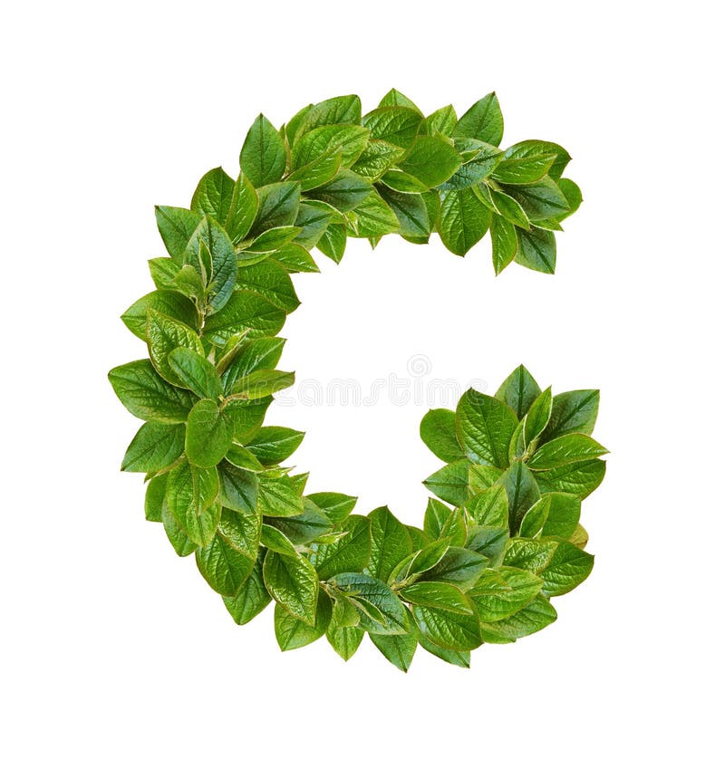 Green Leaves in a Shape of Letter G Isolated Stock Photo - Image of ...