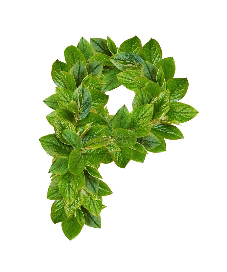 Green Leaves in a Shape of Letter P Isolated Stock Image - Image of ...
