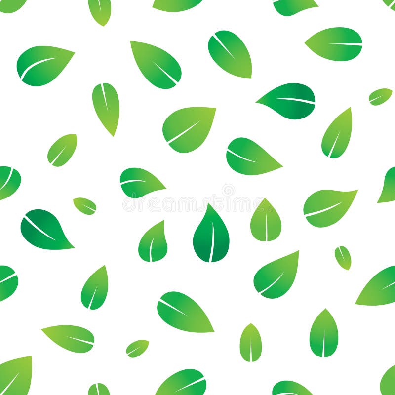 Green leaves stock vector. Illustration of outdoor, spring - 66974766