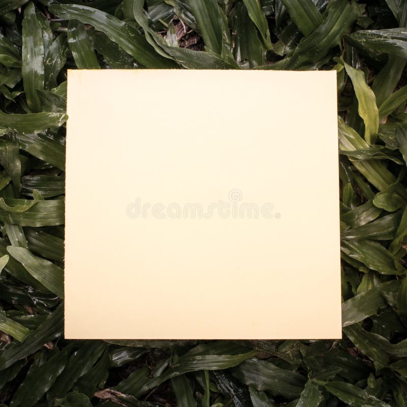 Note paper on green grass stock image. Image of hipster - 108377133