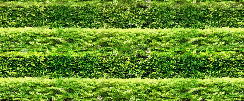Green Leaves Step Pattern Abstract Nature Background Stock Image ...