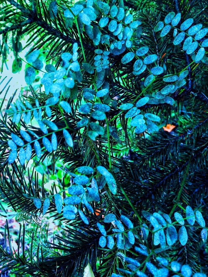 Green leaves texture stock photo. Image of forest, texture - 125130542