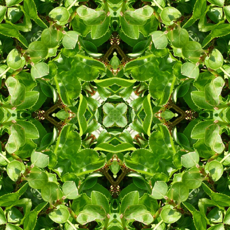 Green Leaves Tile Pattern Background 5 Stock Photo - Image of closeup ...