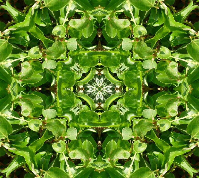 Green Leaves Tile Pattern Background Stock Image - Image of organic ...