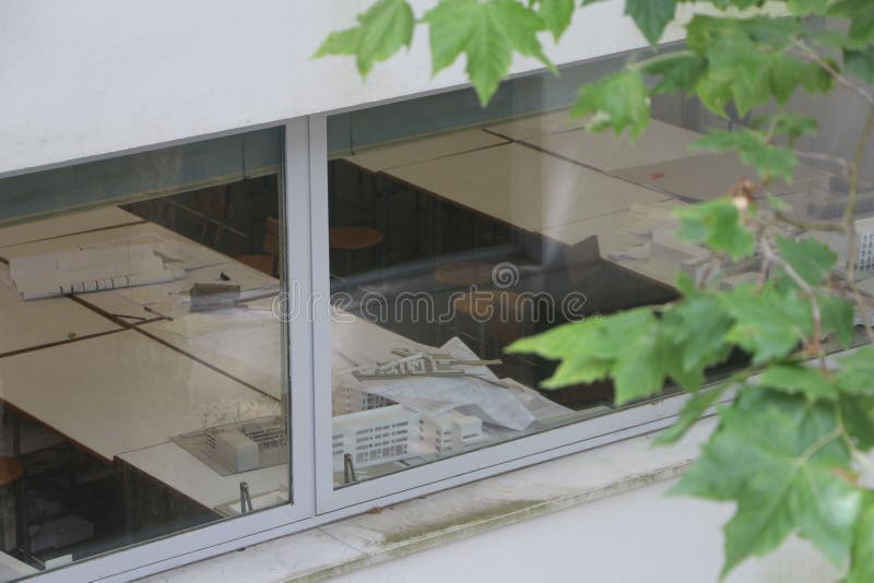 Green Leaves on a Tree with Big Windows of a School Classroom in the ...