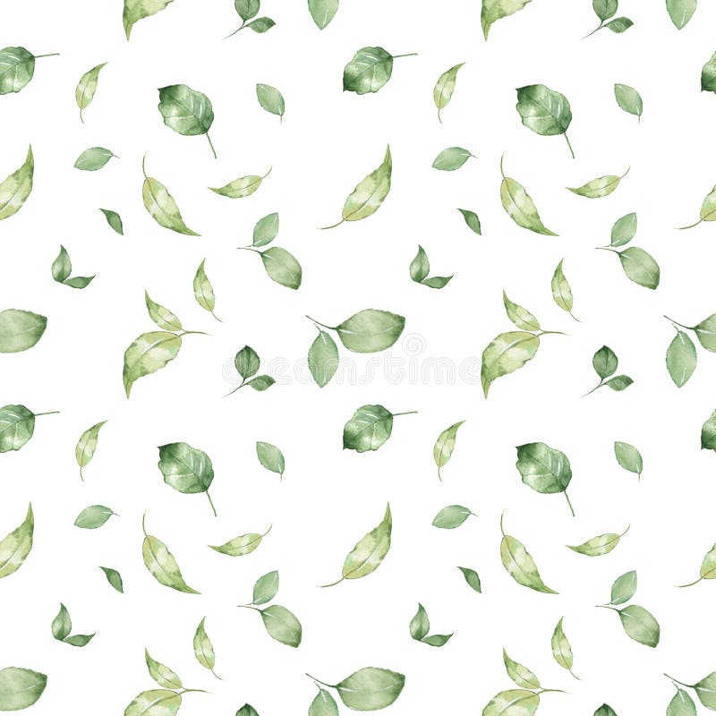 Green Leaves. Seamless Pattern. Watercolor Stock Illustration ...