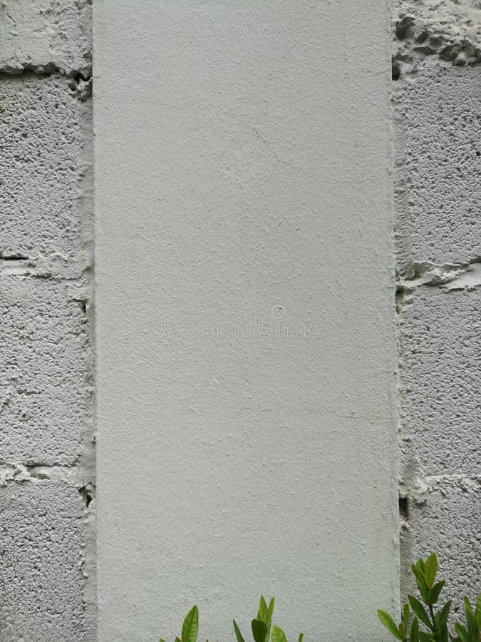Green Leaves on White Brick Block Wall Show Pattern Stack Block Rough ...
