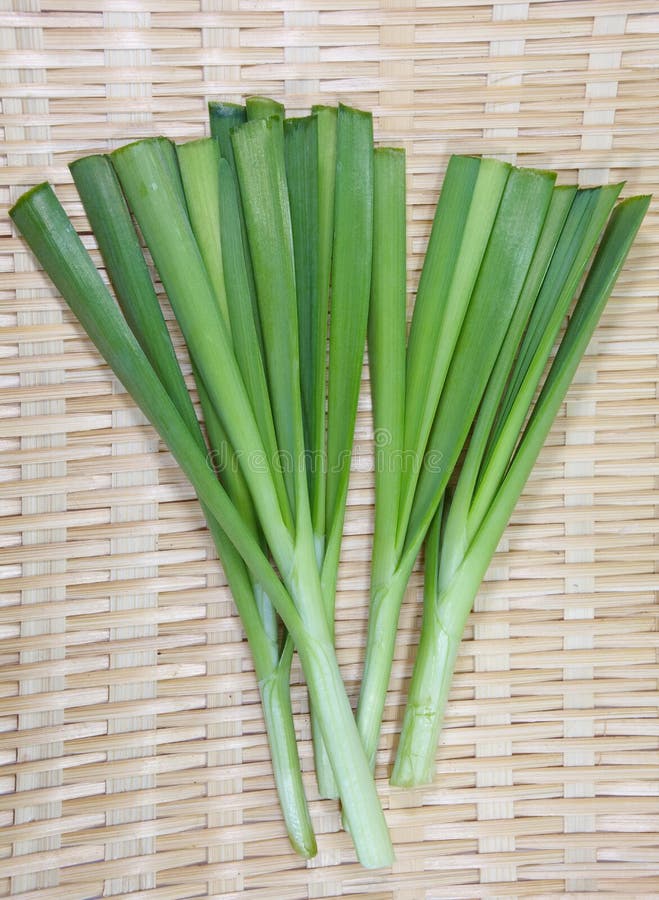 Green leek stock photo. Image of onion, natural, traditional - 41905286