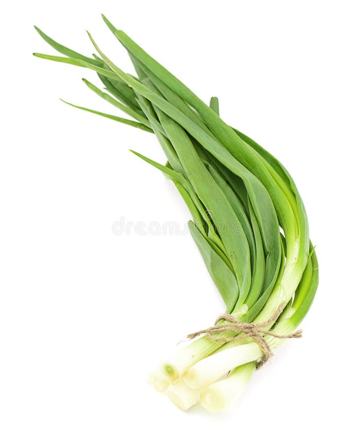 Green Leek Isolated on White Background Stock Image - Image of kitchen ...