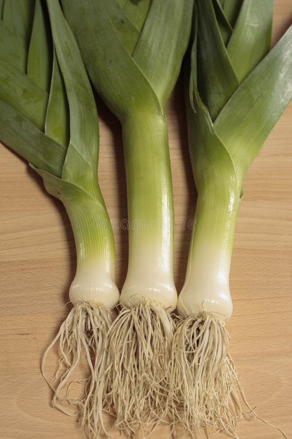 Green leeks stock photo. Image of leeks, season, vegetarian - 40369716