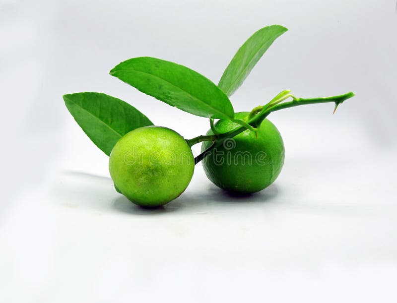 Green leman stock image. Image of ripe, isolated, healthy - 222641285