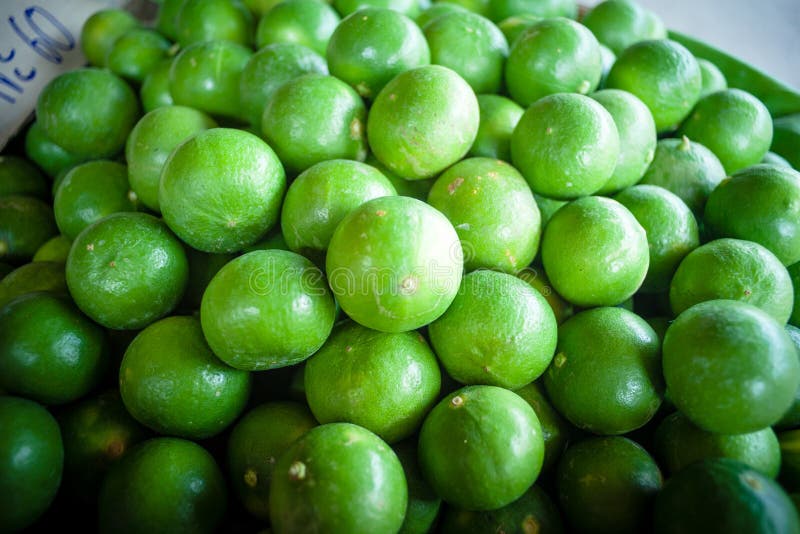 Green Lemon stock photo. Image of freshness, tropical - 135709880