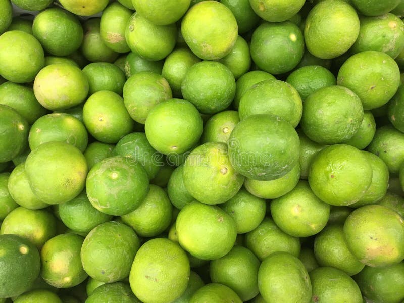 Green lemon. stock image. Image of market, lemon, sour - 75403449