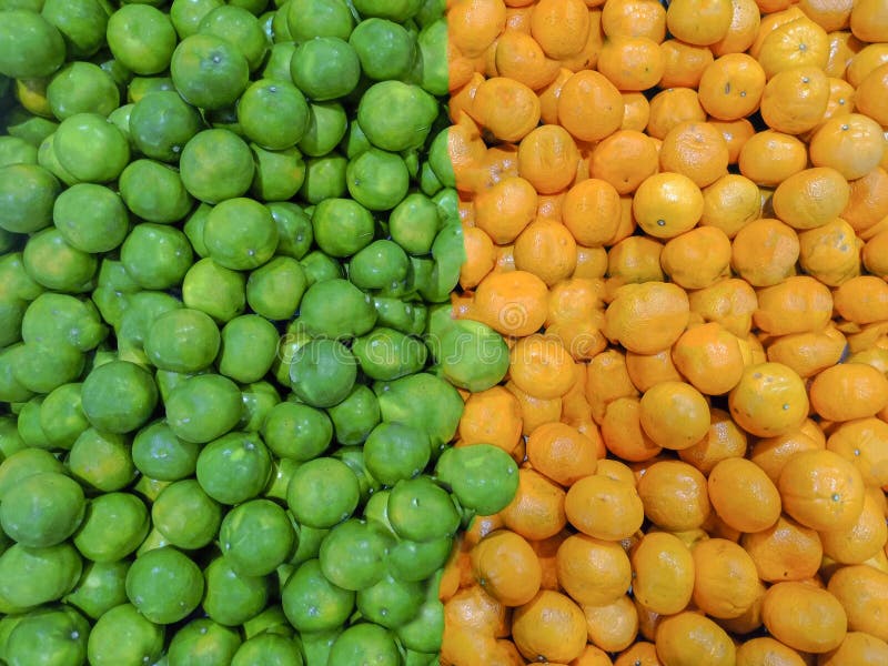 Green Lemon and Orange, Half of Green and Yellow Stock Image - Image of ...