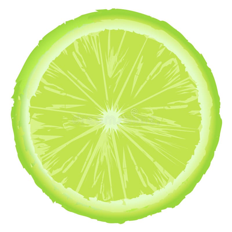Green Lemon Slice on White Background Stock Vector - Illustration of ...