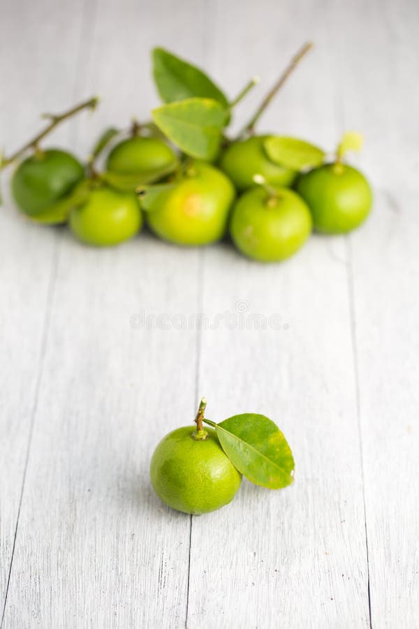 Green lemon stock image. Image of vitamin, plant, fresh - 75713373