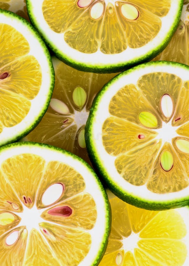 Green Lemons stock photo. Image of citrus, juicy, green - 33933582