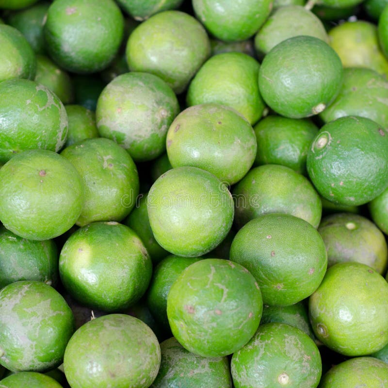 Green lemons background stock photo. Image of lime, local - 33592560