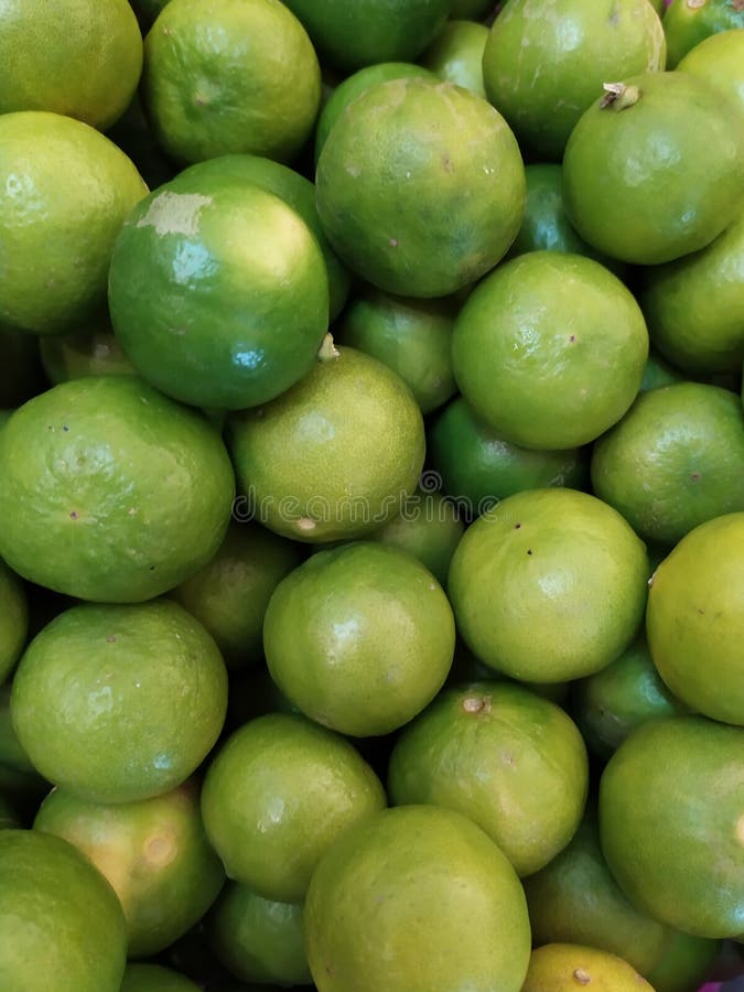 Green lemons fresh stock image. Image of green, lime - 150567751