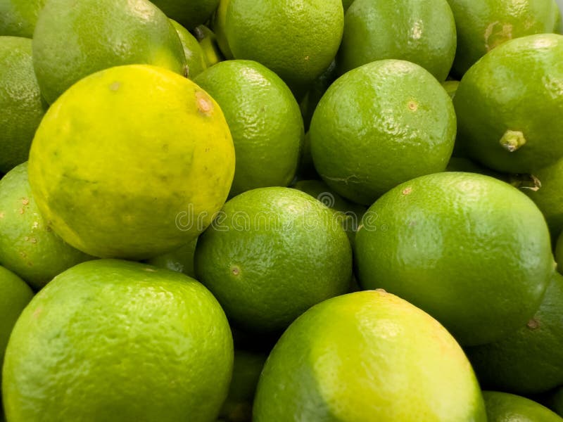 Green Lemons Placed on a Shelf for Sale at a Market Stock Photo - Image ...