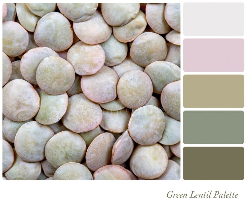 Green Kiwi Colour Palette Swatch Stock Photo - Image of colour, graphic ...