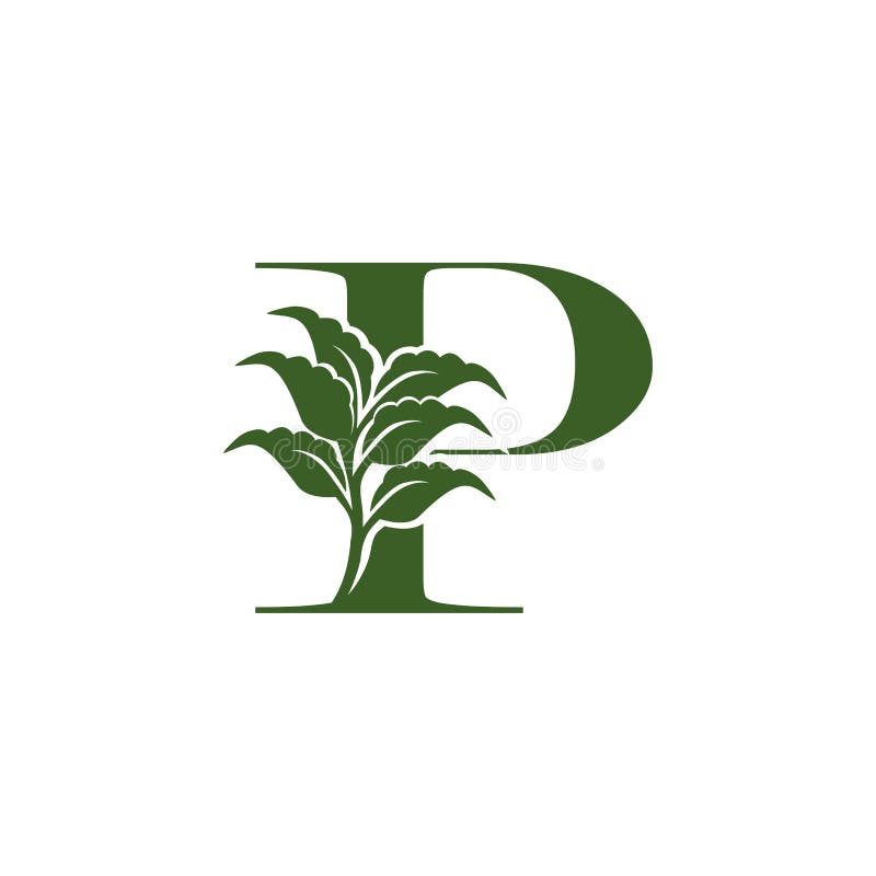 Green Letter P Logo with Leaf Element, Vector Design Ecology Concept ...
