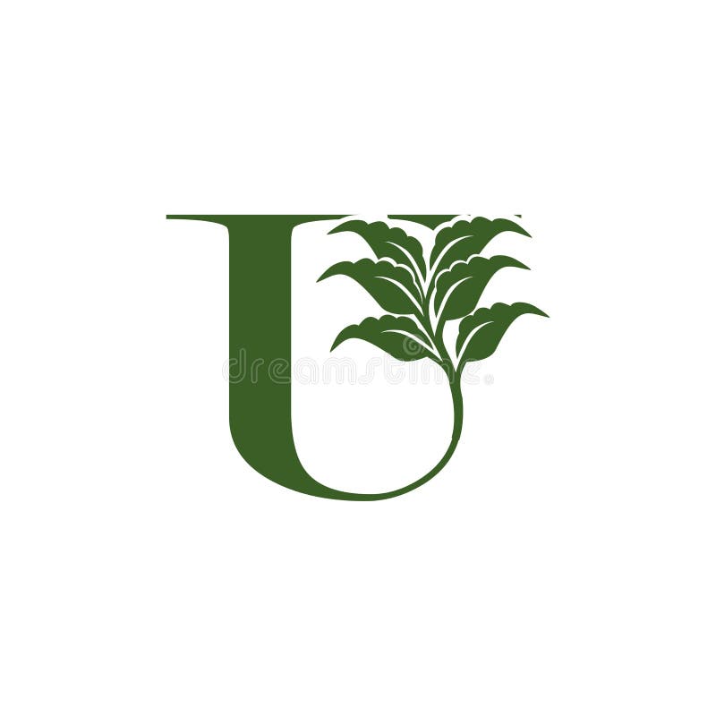 Green Letter U Logo with Leaf Element, Vector Design Ecology Concept ...