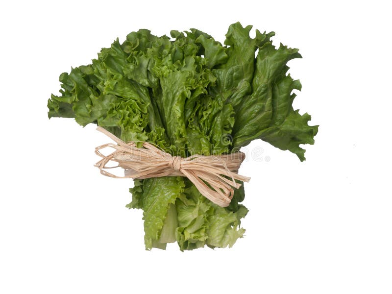 Green Lettuce Bouquet Laying on Side Isolated on White Stock Image ...