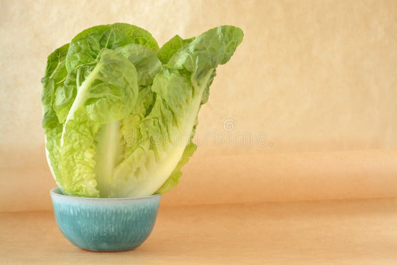Green Lettuce Leaves on a Light Beige Background Stock Photo - Image of ...