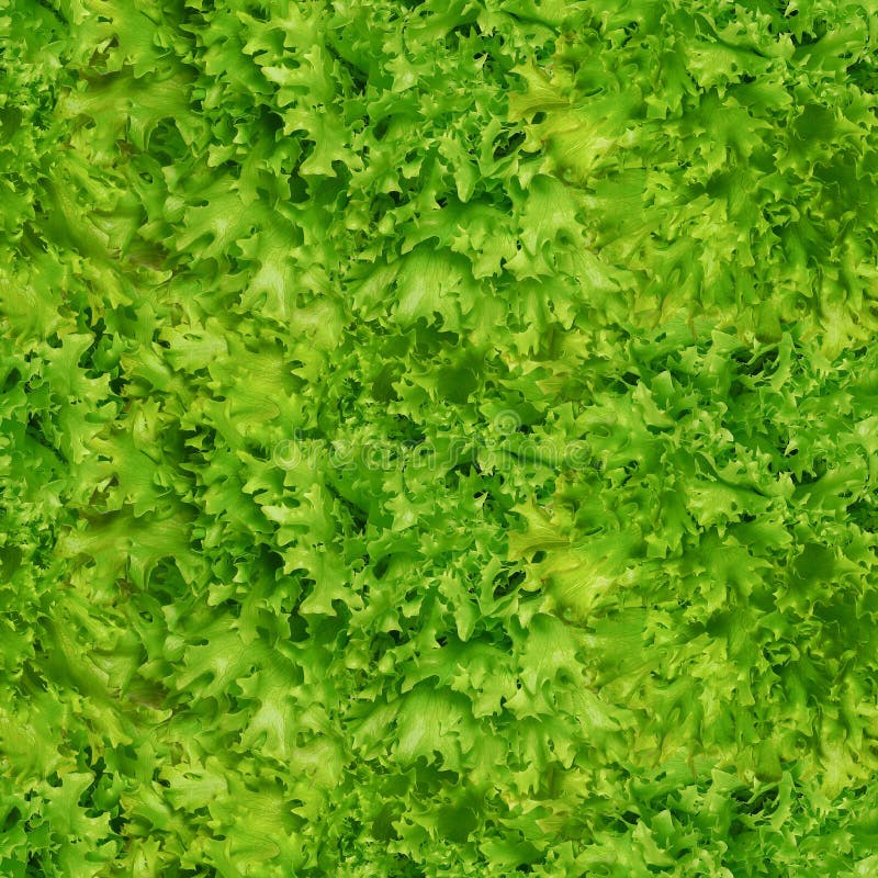 Abstract Background of Lettuce Leaves Stock Image - Image of fresh ...