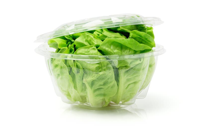 Lettuce Salad Heads in the Plastic Container Stock Photo - Image of ...