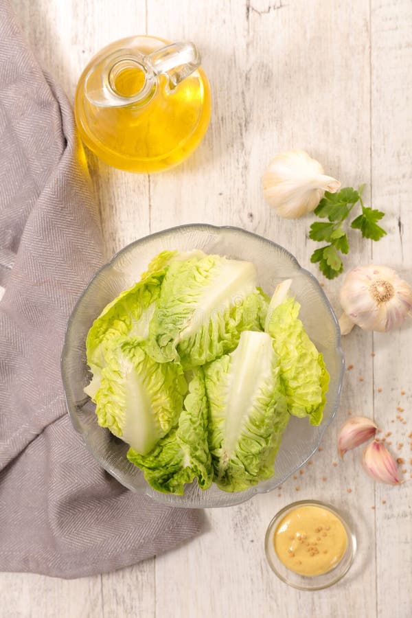 Green Lettuce Salad with Oil Stock Image - Image of lunch, aroma: 163953553