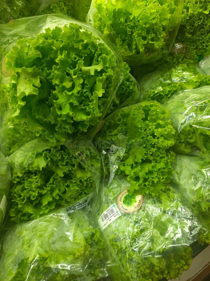 Green Lettuce Vegetables on the Display Table Editorial Photo - Image ...