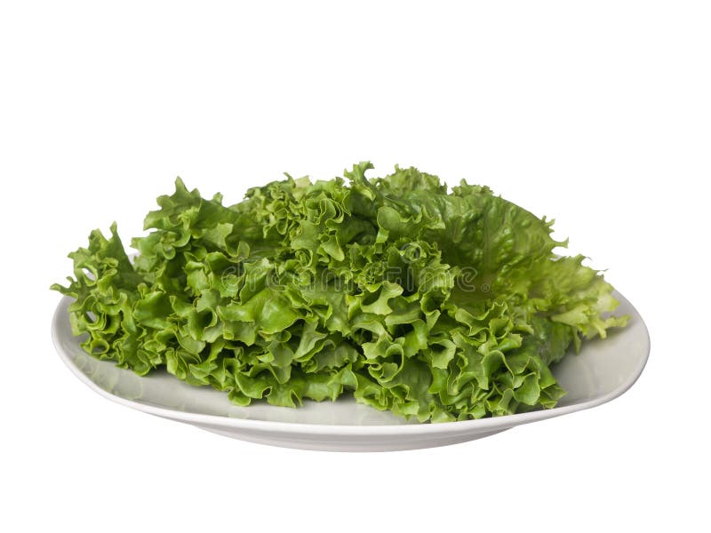 Green Lettuce Bouquet Laying on Side Isolated on White Stock Image ...