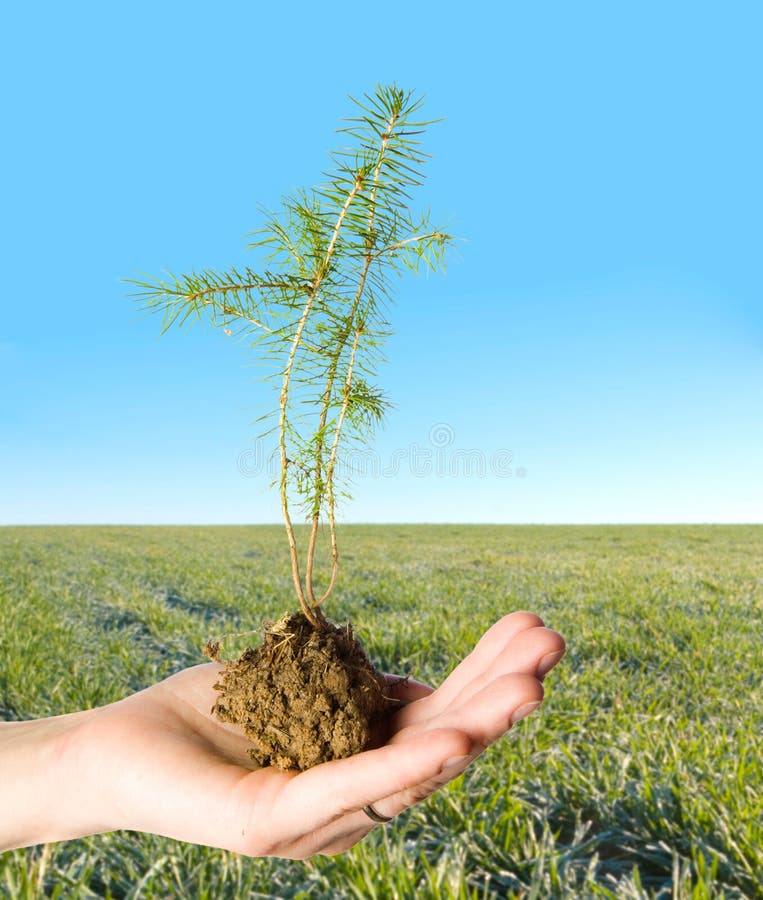 Green life stock image. Image of cloud, holding, grass - 9103375