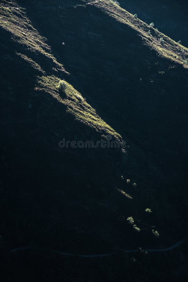 The Green of Life is Quickly Reappearing after the Devastation of the ...